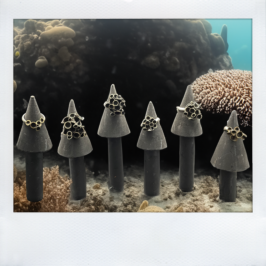 SEAPOD RINGS - CLUSTERS – Gogo Jewelry
